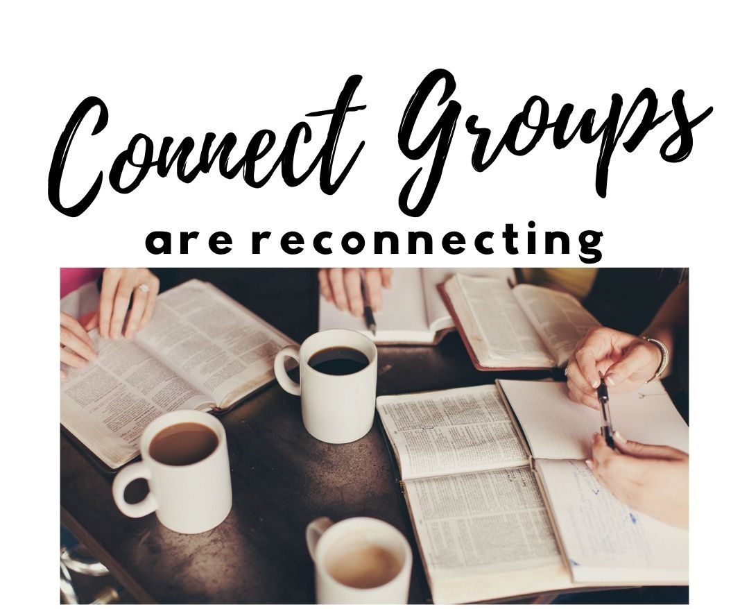 Connect Groups – Risen Savior Lutheran Church